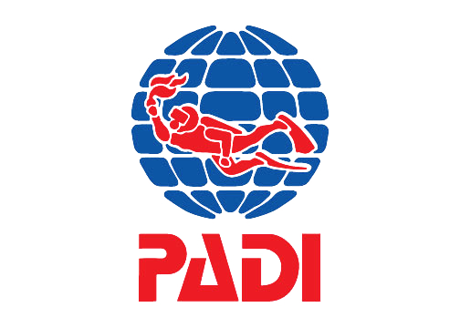 PADI Logo | Golden State Lifeguards